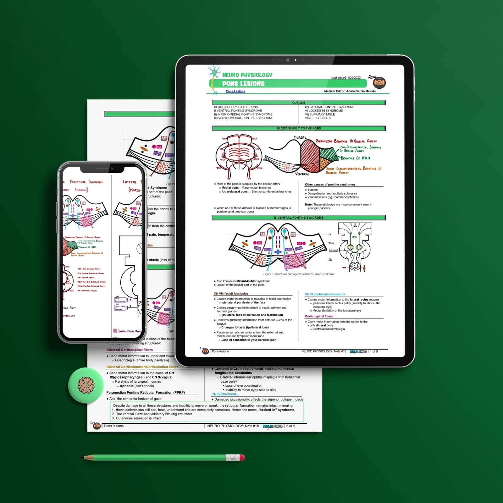 Pons Lesions - Notes - NinjaNerd Medicine